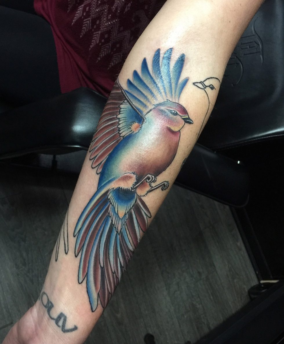 Earl - Evolution Ink Studio