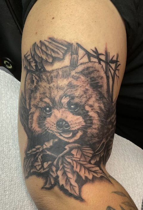 Kenny - Evolution Ink Studio